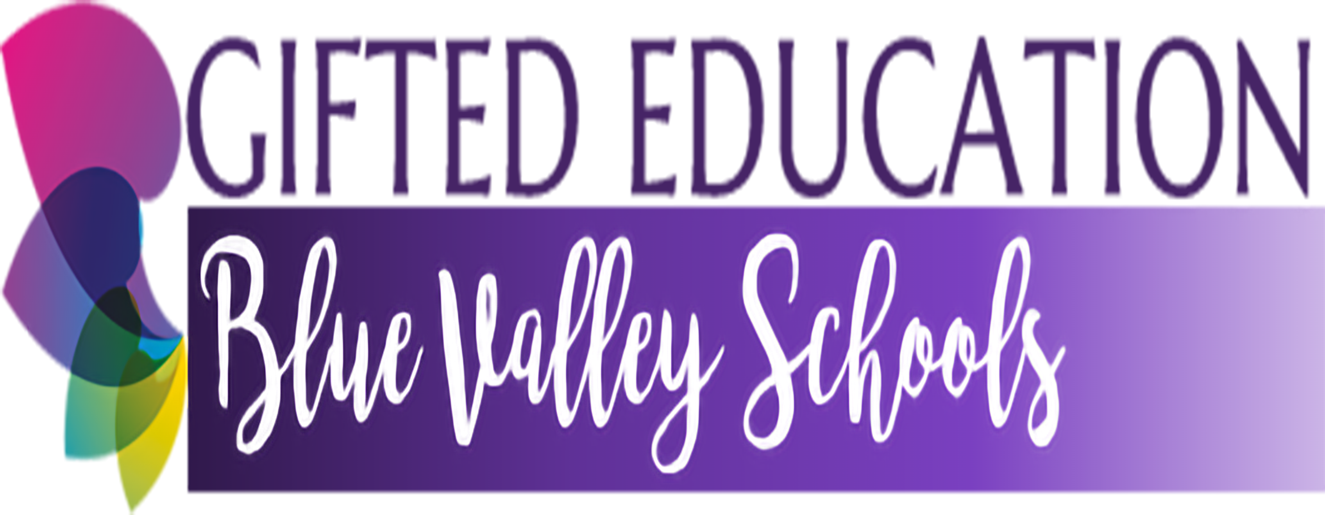 - Gifted Education - Gifted Data System